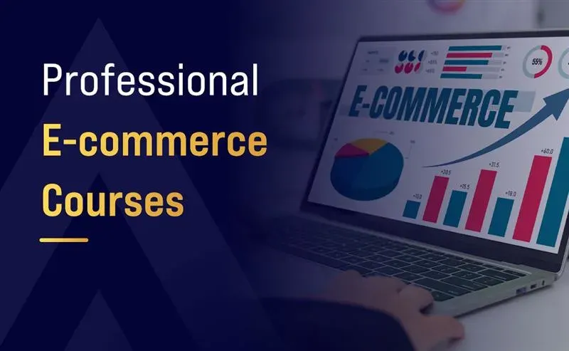 Professional E-commerce Courses